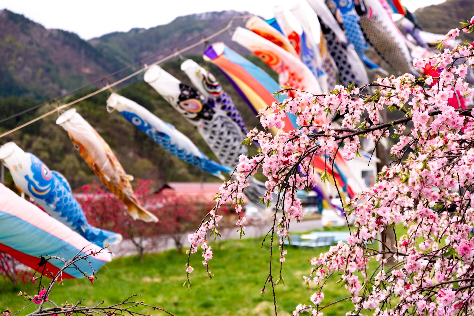 子供の日の兜は誰が買う?いつから飾る?五月人形に込められた意味とは | Slow Lab.